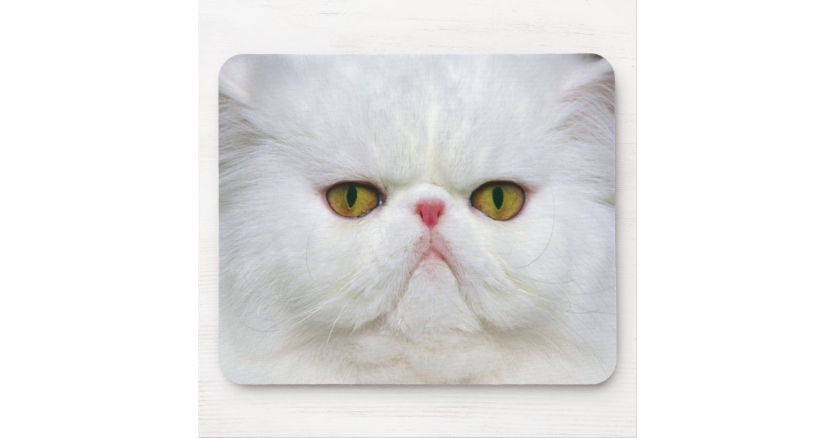 White Persian Mouse Pad | Zazzle