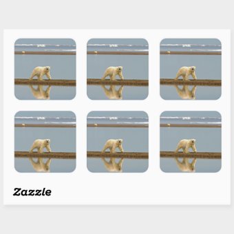 White Polar Bear Square Sticker | Zazzle