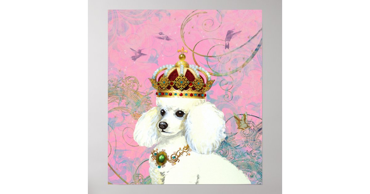 White Poodle Princess Hummingbird Poster Print | Zazzle