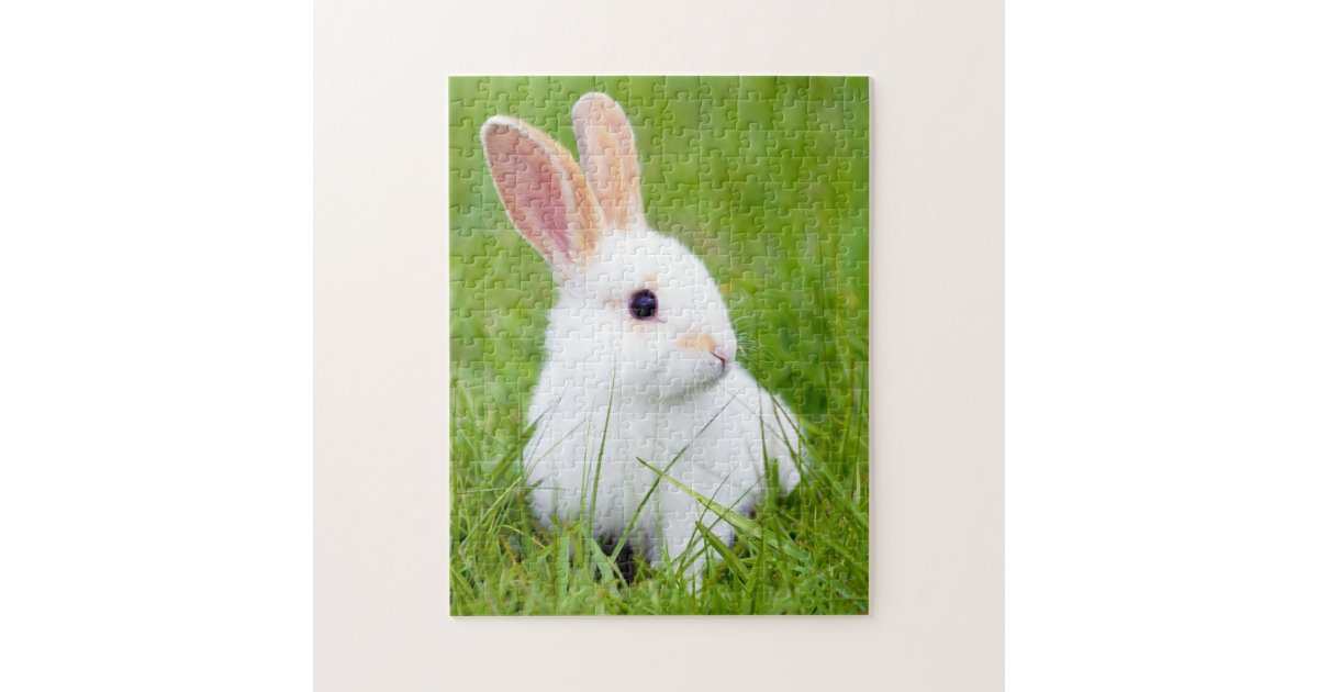 White Rabbit Jigsaw Puzzle | Zazzle