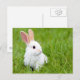 White Rabbit Postcard | Zazzle