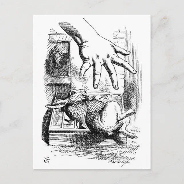 White Rabbit Postcard | Zazzle