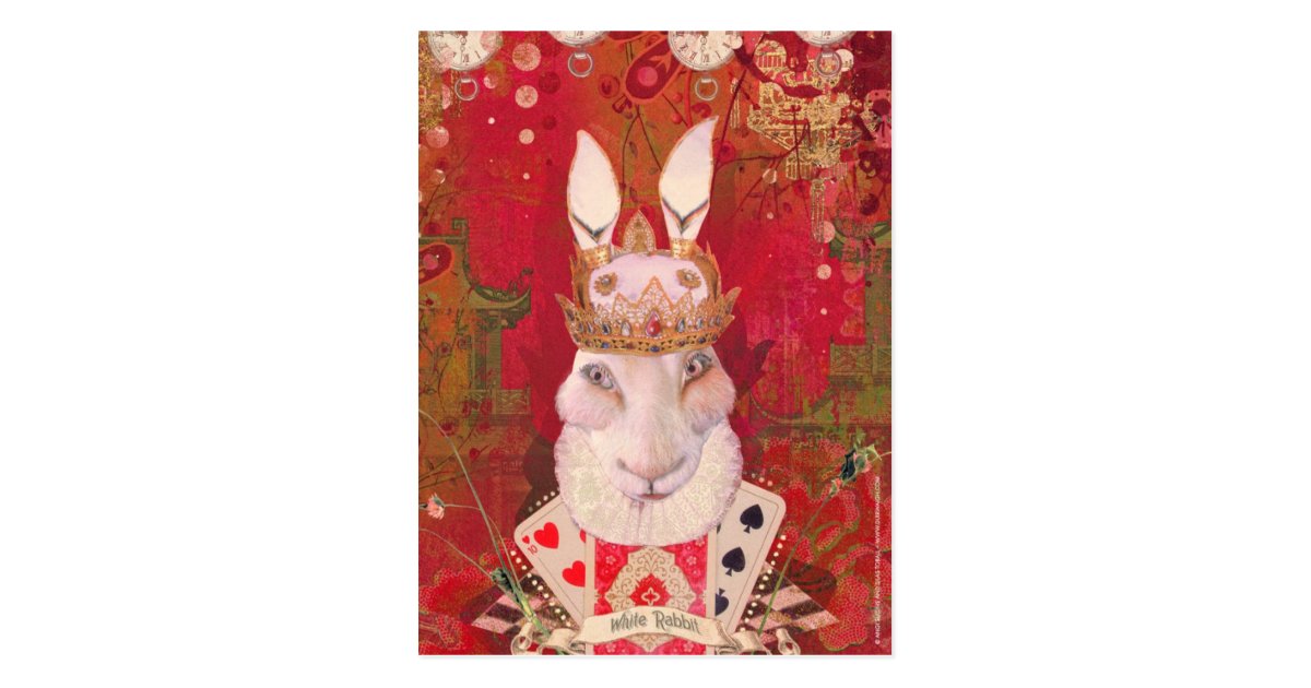 White Rabbit Postcard | Zazzle.com