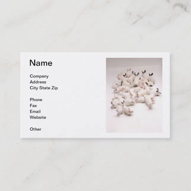 White Rabbits Business Card | Zazzle
