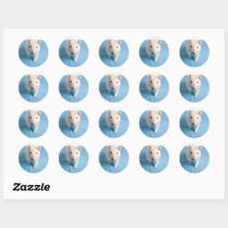 White rat sticker | Zazzle