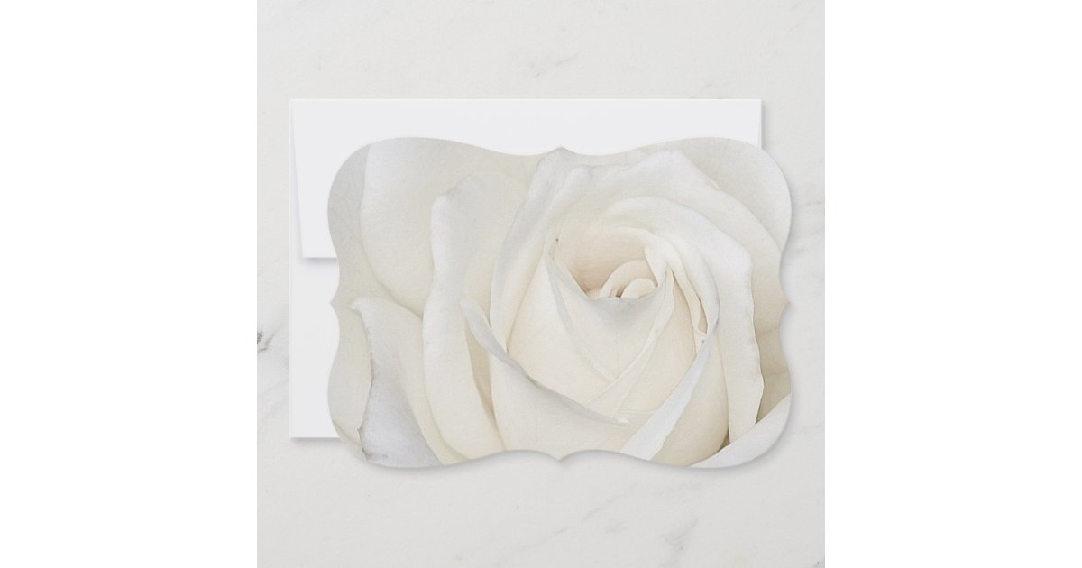 White Rose 5x7 Invitation | Zazzle