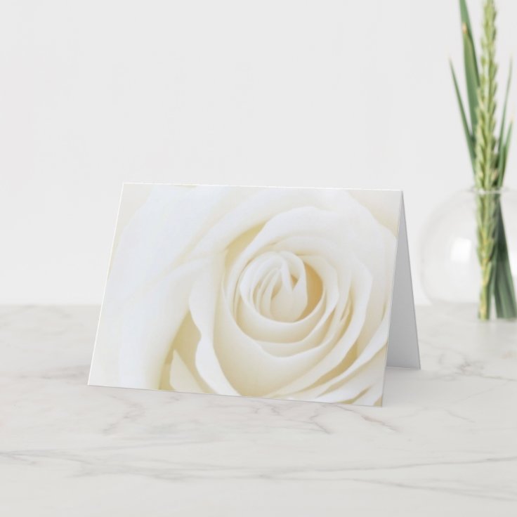 White Rose Blank Card | Zazzle