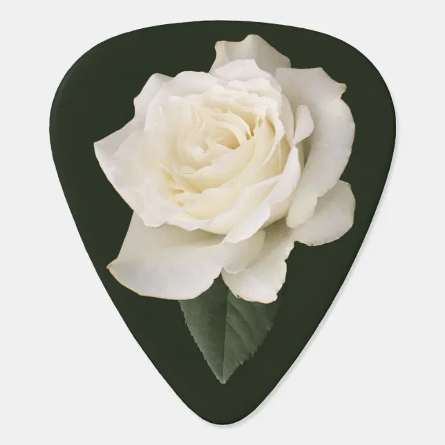 White Rose Guitar Pick | Zazzle