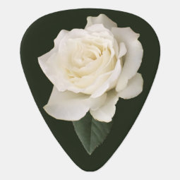 White Rose Guitar Pick | Zazzle