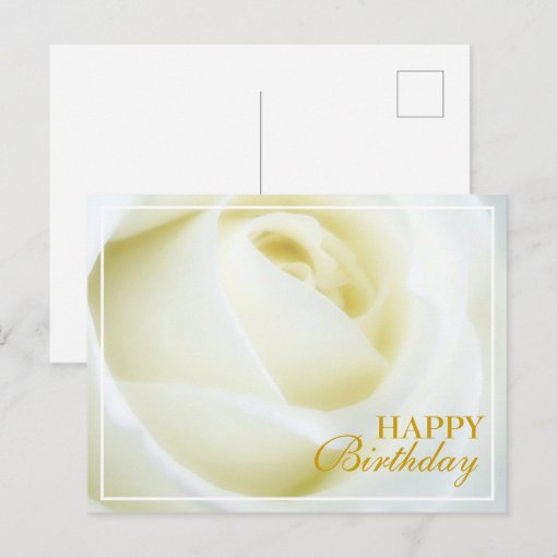 White Rose Happy Birthday Postcard | Zazzle