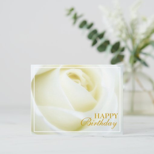 White Rose Happy Birthday Postcard | Zazzle