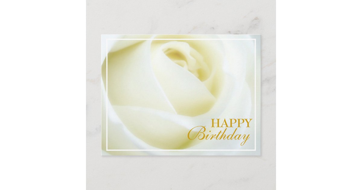 White Rose Happy Birthday Postcard | Zazzle