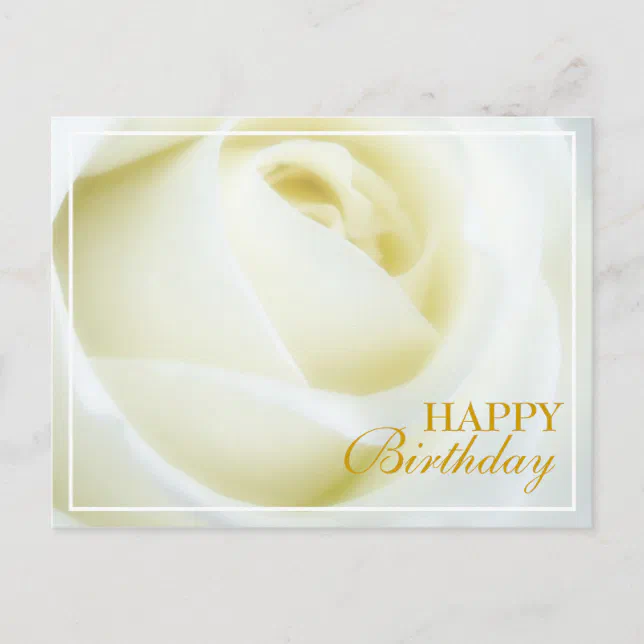 White Rose Happy Birthday Postcard | Zazzle
