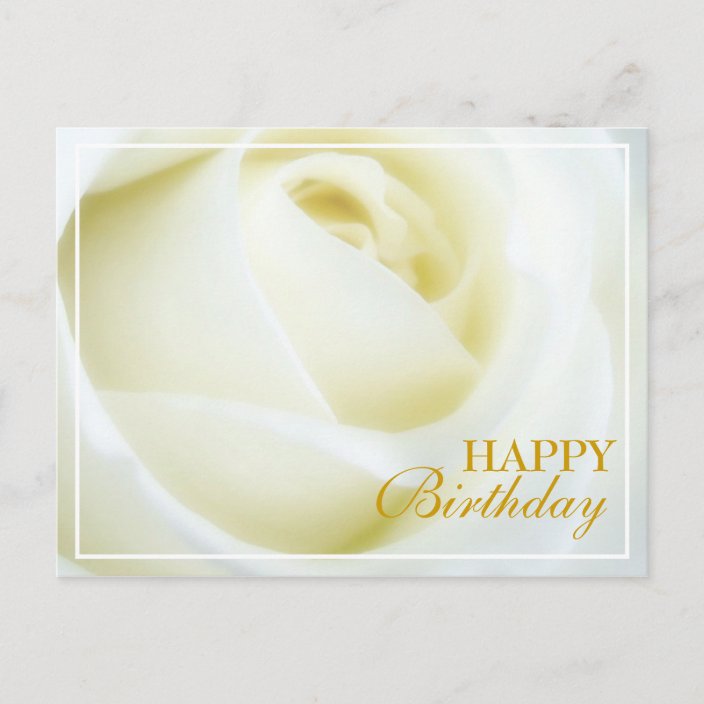 White Rose Happy Birthday Postcard | Zazzle.com