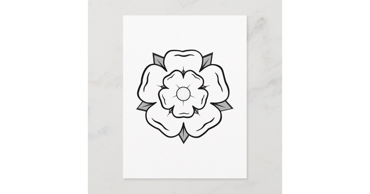 White Rose of York Postcard | Zazzle