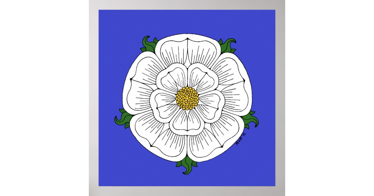 White Rose of York Poster | Zazzle