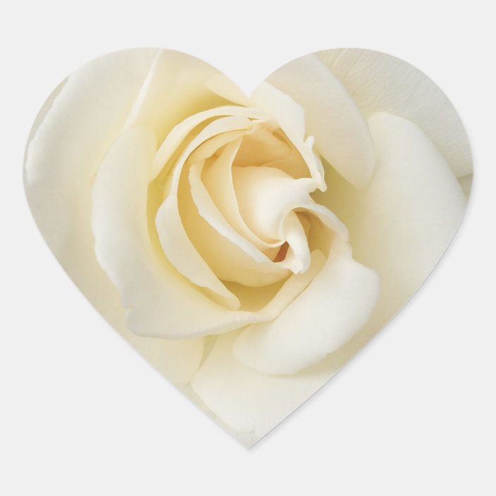 White Rose Stickers | Zazzle.com