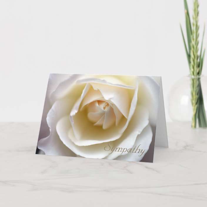 White Rose Sympathy Card | Zazzle.com