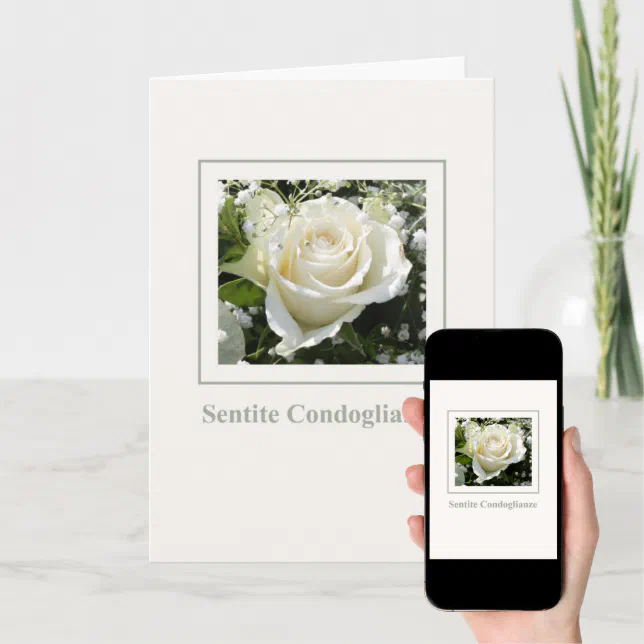 white rose sympathy card italian | Zazzle