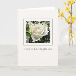 white rose sympathy card italian | Zazzle
