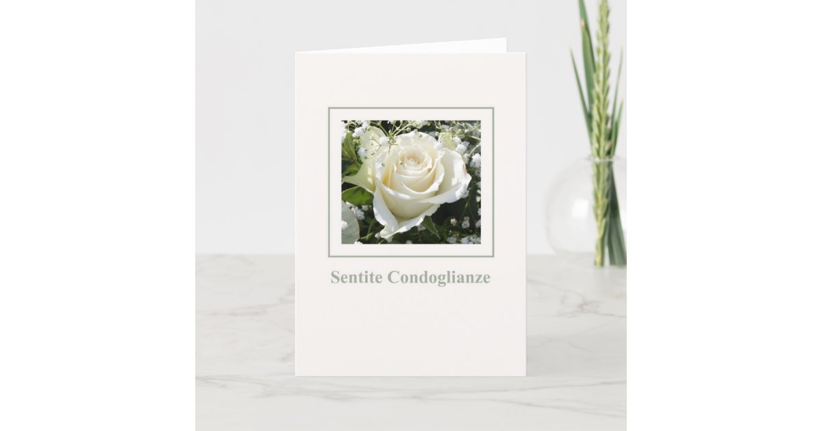 white rose sympathy card italian | Zazzle