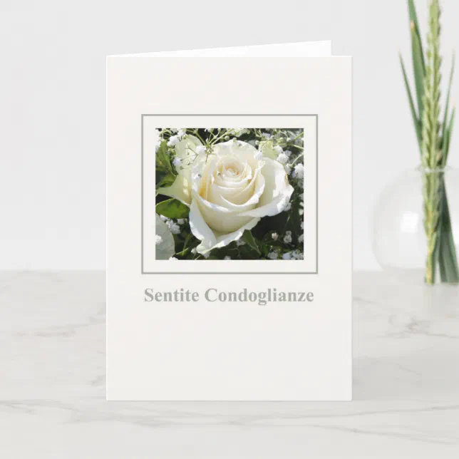 white rose sympathy card italian | Zazzle