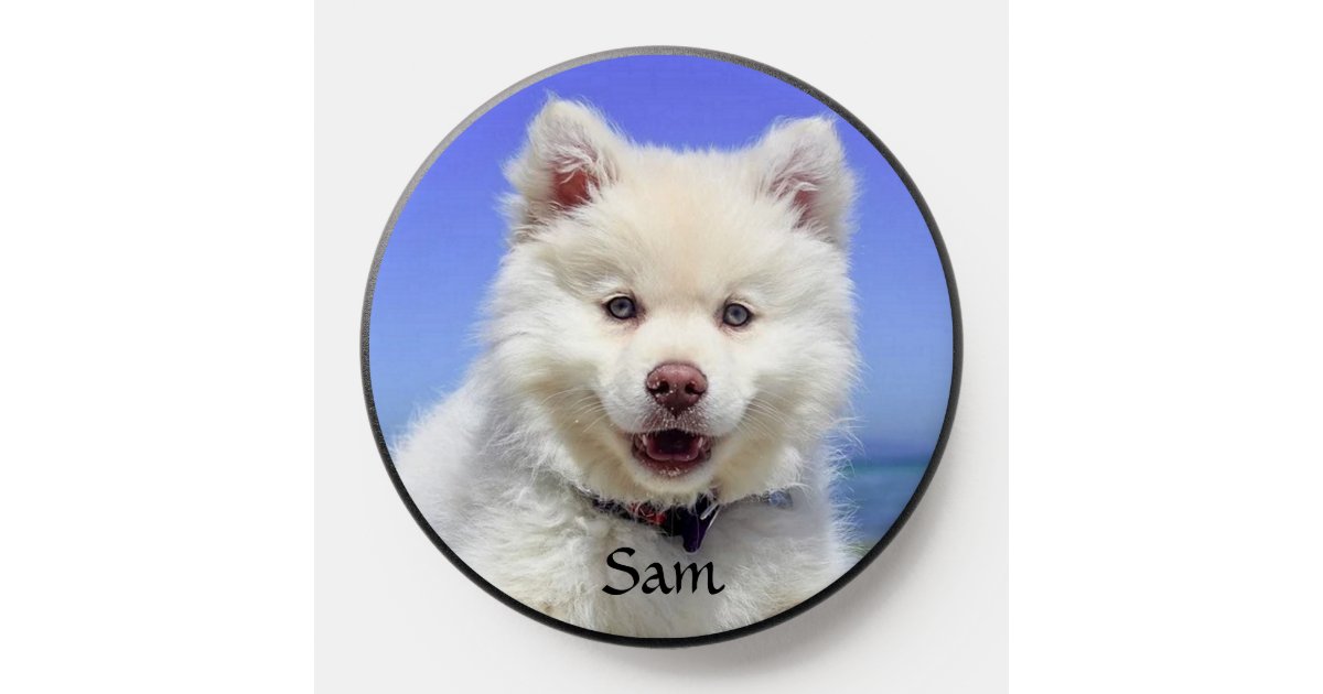 White Samoyed Dog on Light Blue PopSocket | Zazzle