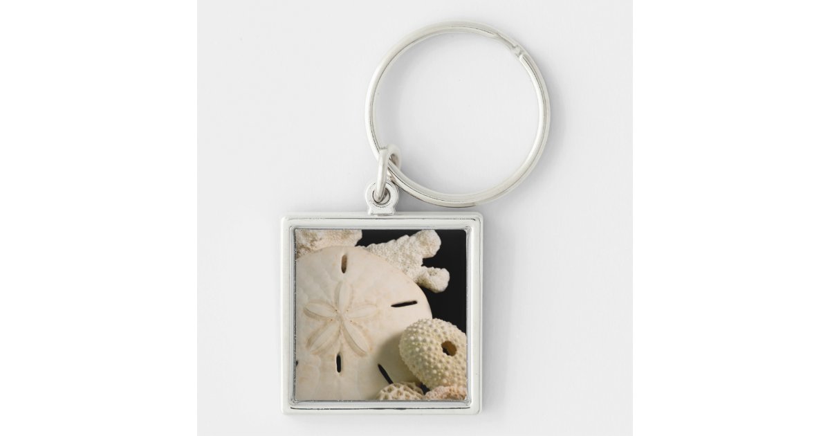 White Seashells And Sand Dollar Keychain | Zazzle