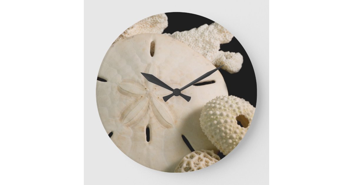 White Seashells And Sand Dollar Large Clock | Zazzle