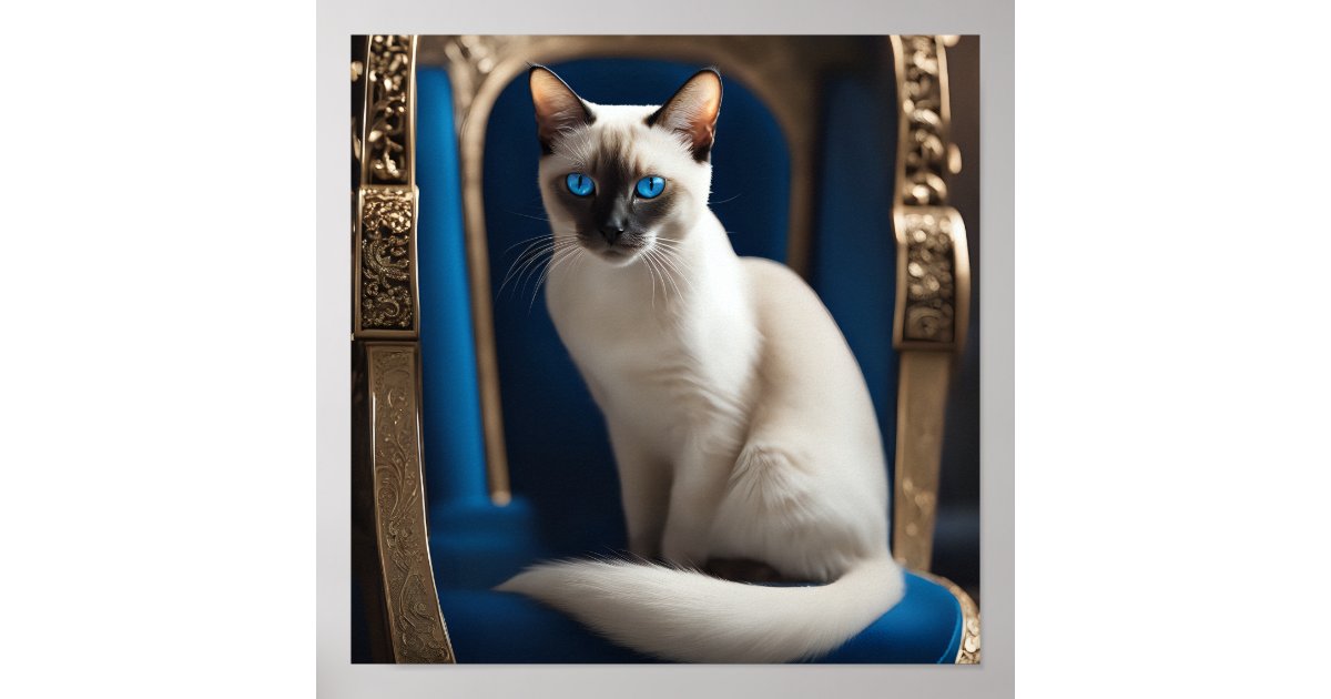 White Siamese Cat Poster | Zazzle
