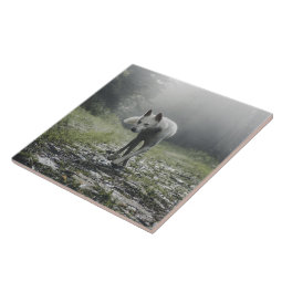 White Siberian Husky Ceramic Tile | Zazzle