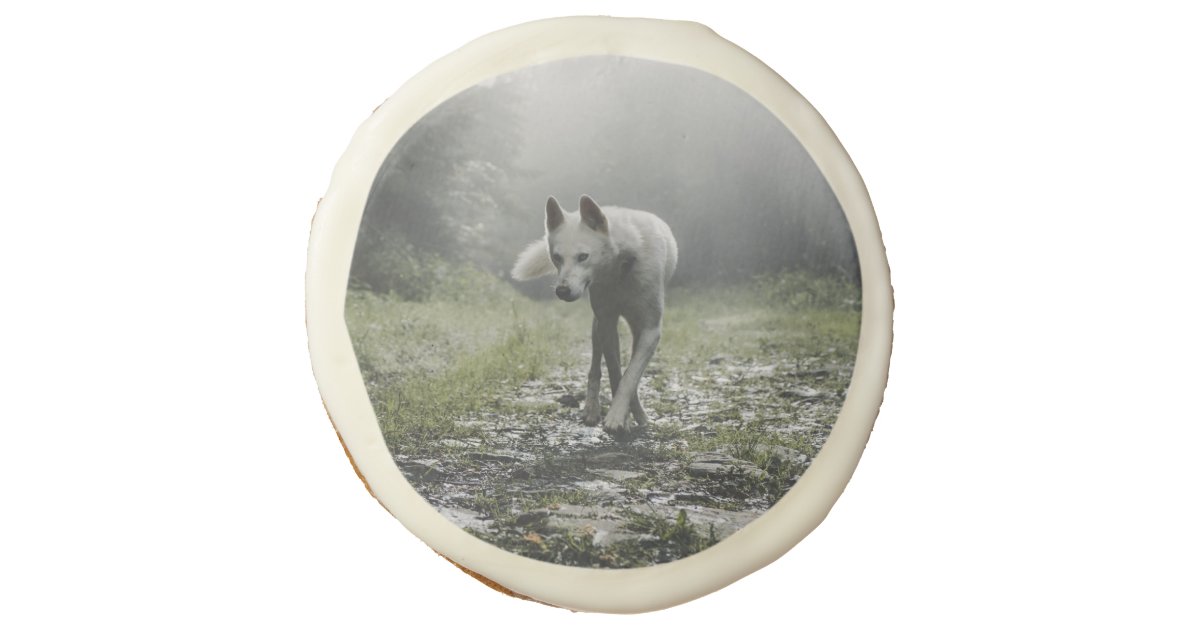 White Siberian Husky Sugar Cookie | Zazzle