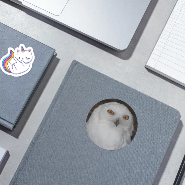 White Snowy Owl Nature Photo Classic Round Sticker | Zazzle
