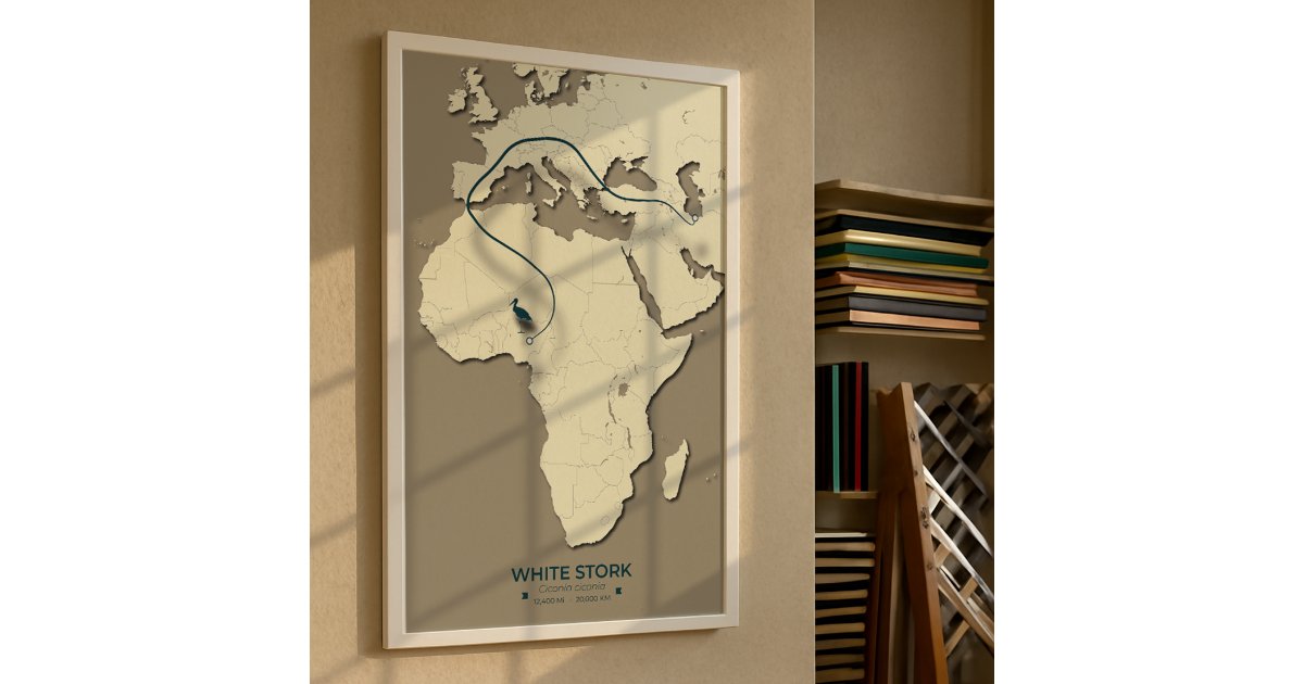 White Stork Migration Map – Minimalist Vintage Poster | Zazzle