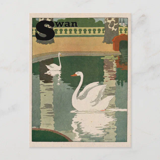 White Swan Alphabet Postcard | Zazzle