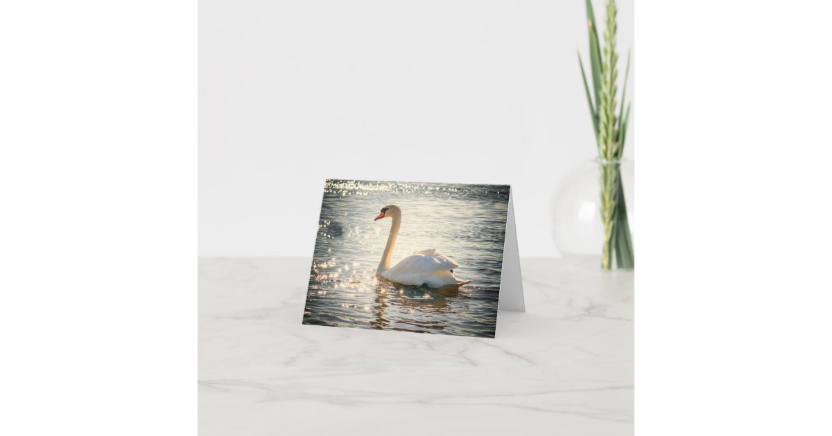 White Swan Card | Zazzle