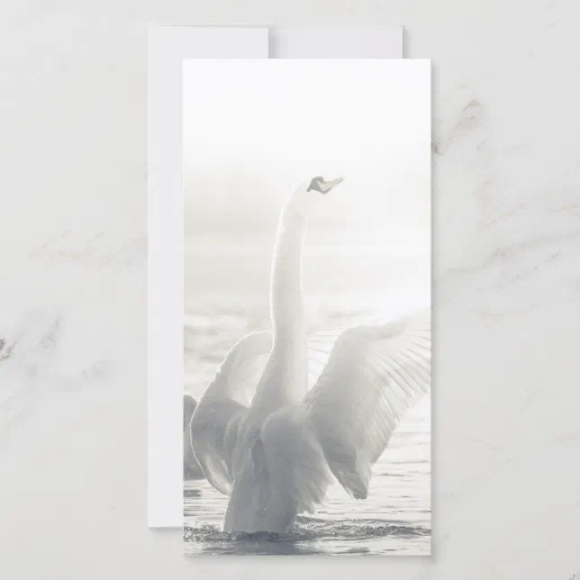 White Swan Card | Zazzle