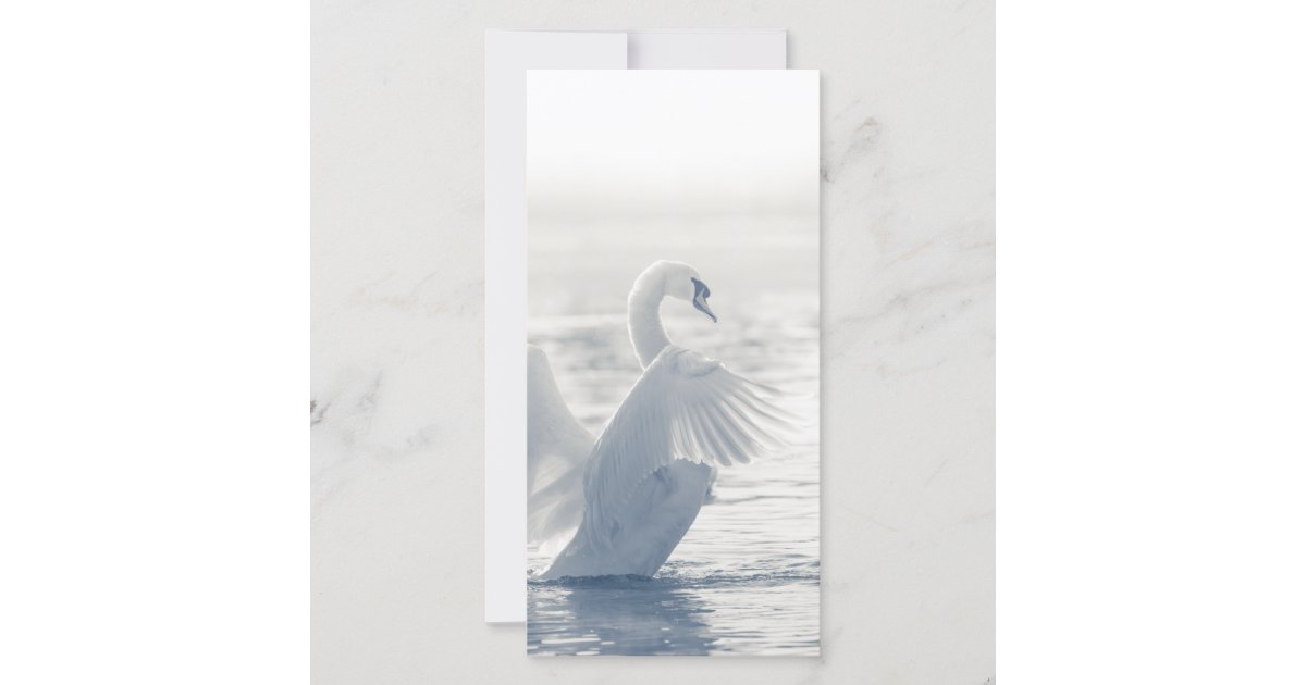 White Swan Card | Zazzle