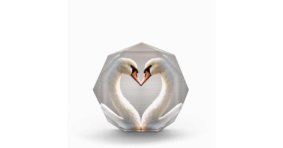 White Swan Heart Award | Zazzle