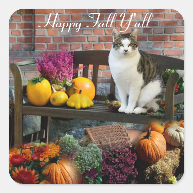 White Tabby Cat Fall Season / Happy Fall Y'all Square Sticker | Zazzle