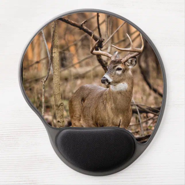 White Tail Deer Buck Gel Mouse Pad | Zazzle