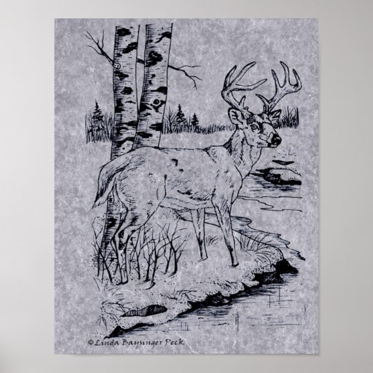White Tailed Buck Deer Ink Drawing Creek Poster | Zazzle.com
