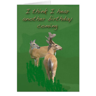 Whitetail Deer Birthday Cards | Zazzle