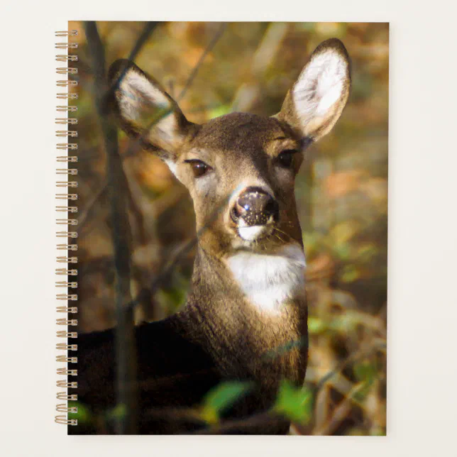 White-Tailed Deer Weekly/Monthly Planner | Zazzle