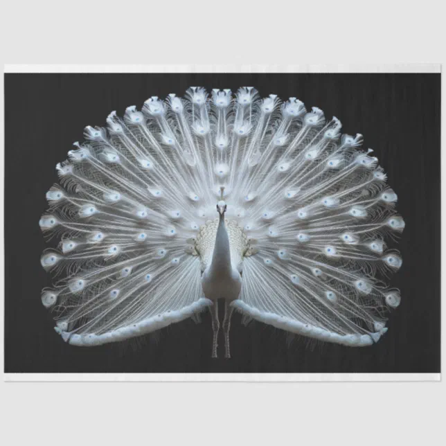 White Tailed Peacock Decoupage Tissue Paper | Zazzle