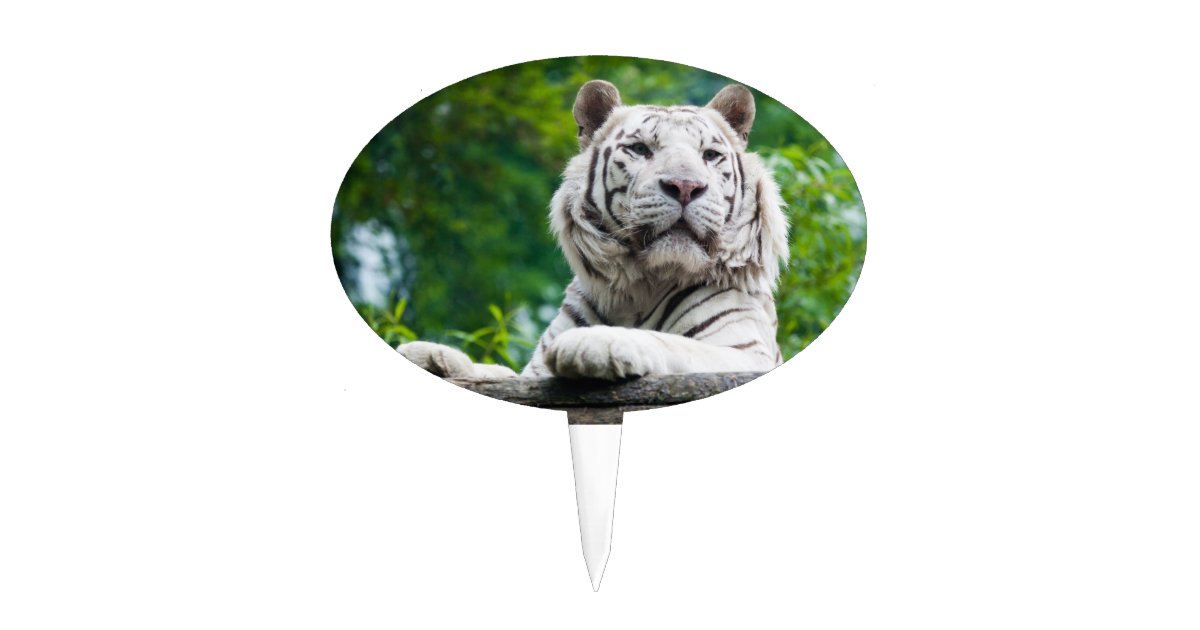 White Tiger cake topper | Zazzle