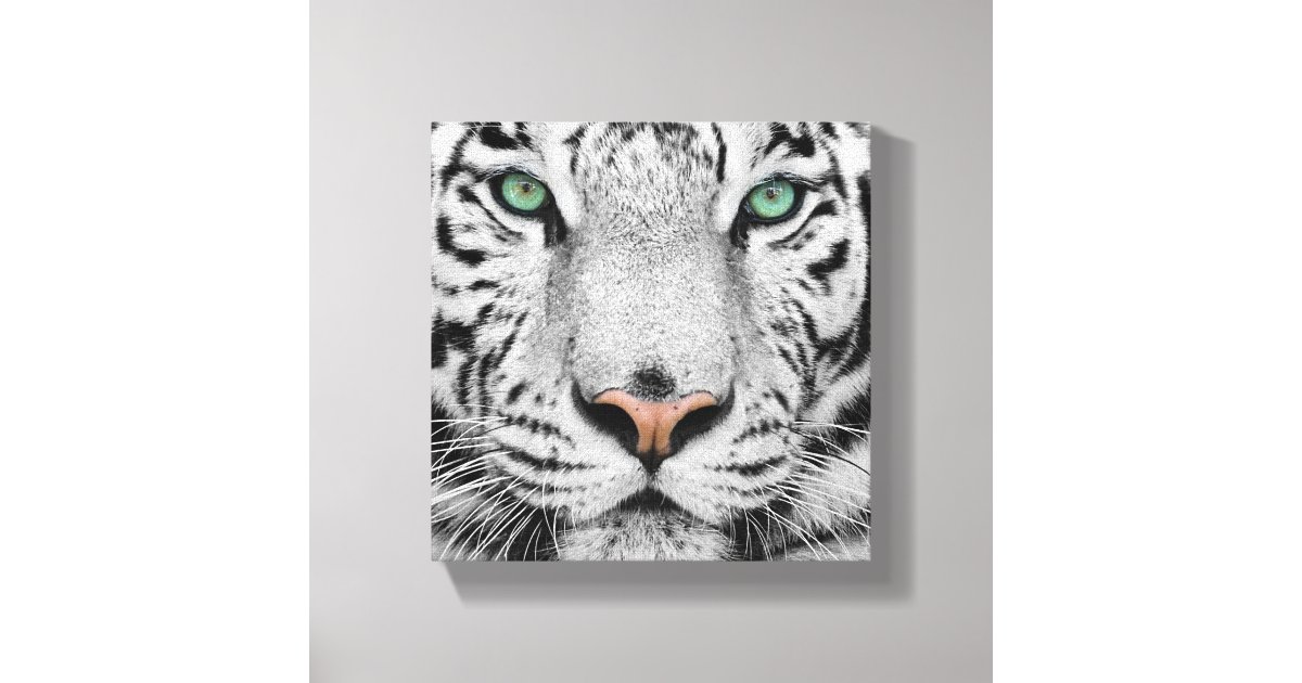 White Tiger Canvas Print | Zazzle