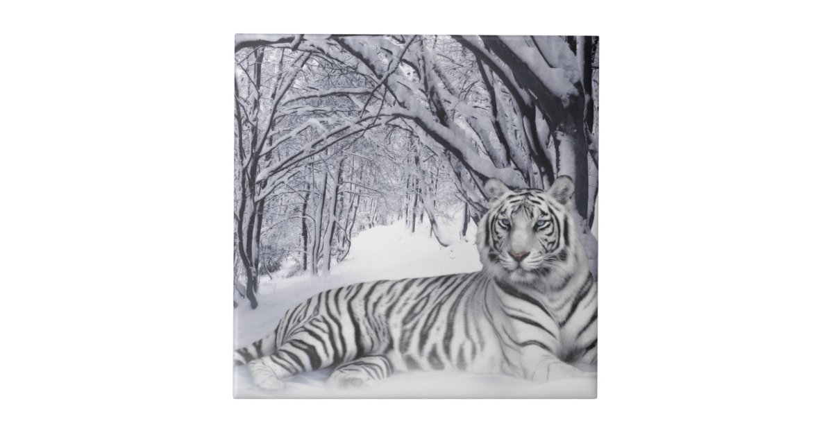 WHITE TIGER CERAMIC TILE | Zazzle