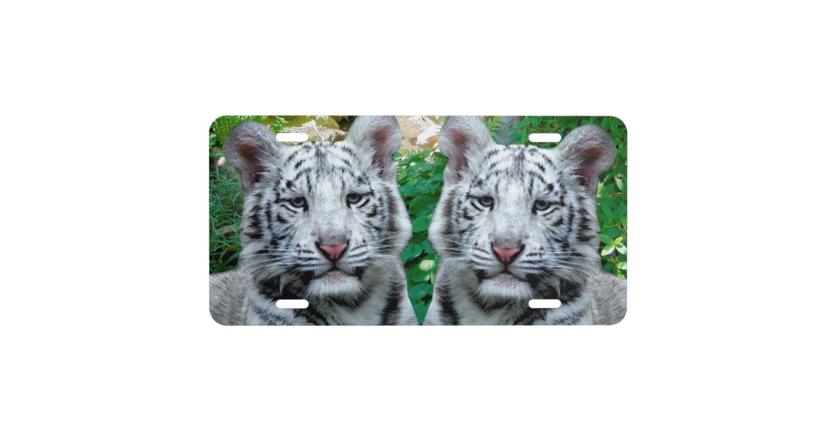 White Tiger License Plate | Zazzle