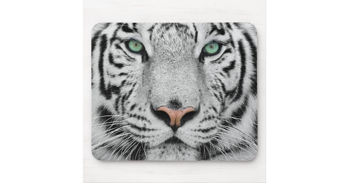 White Tiger Mouse Pad | Zazzle